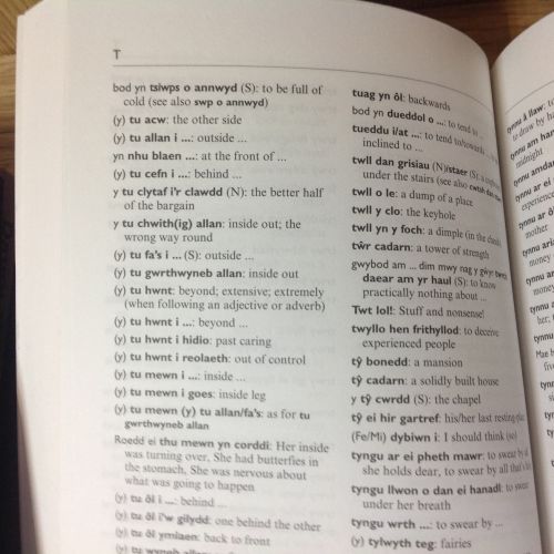 A Dictionary of Welsh and English Idiomatic Phrases – Cant a mil