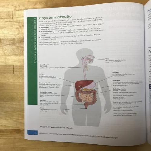 TGAU Gwyddoniaeth Dwyradd: Nodiadau Adolygu – Cant a mil